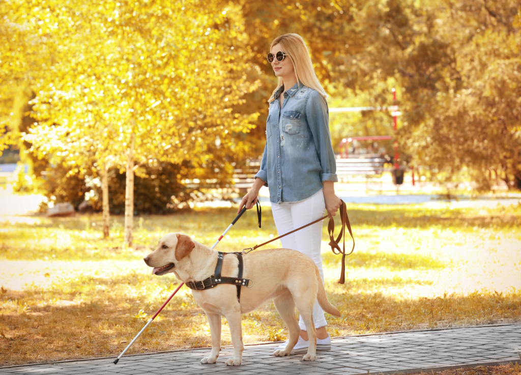 B1 ESL Video Lesson Plan: Pip