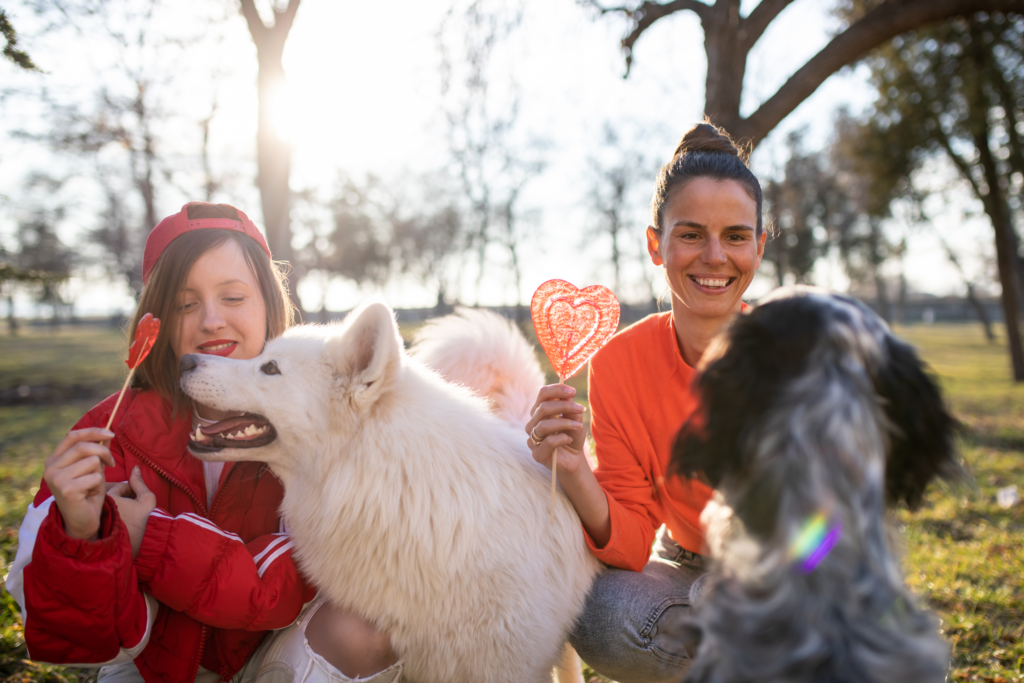 B1 ESL Video Lesson Plan: Dog Lovers