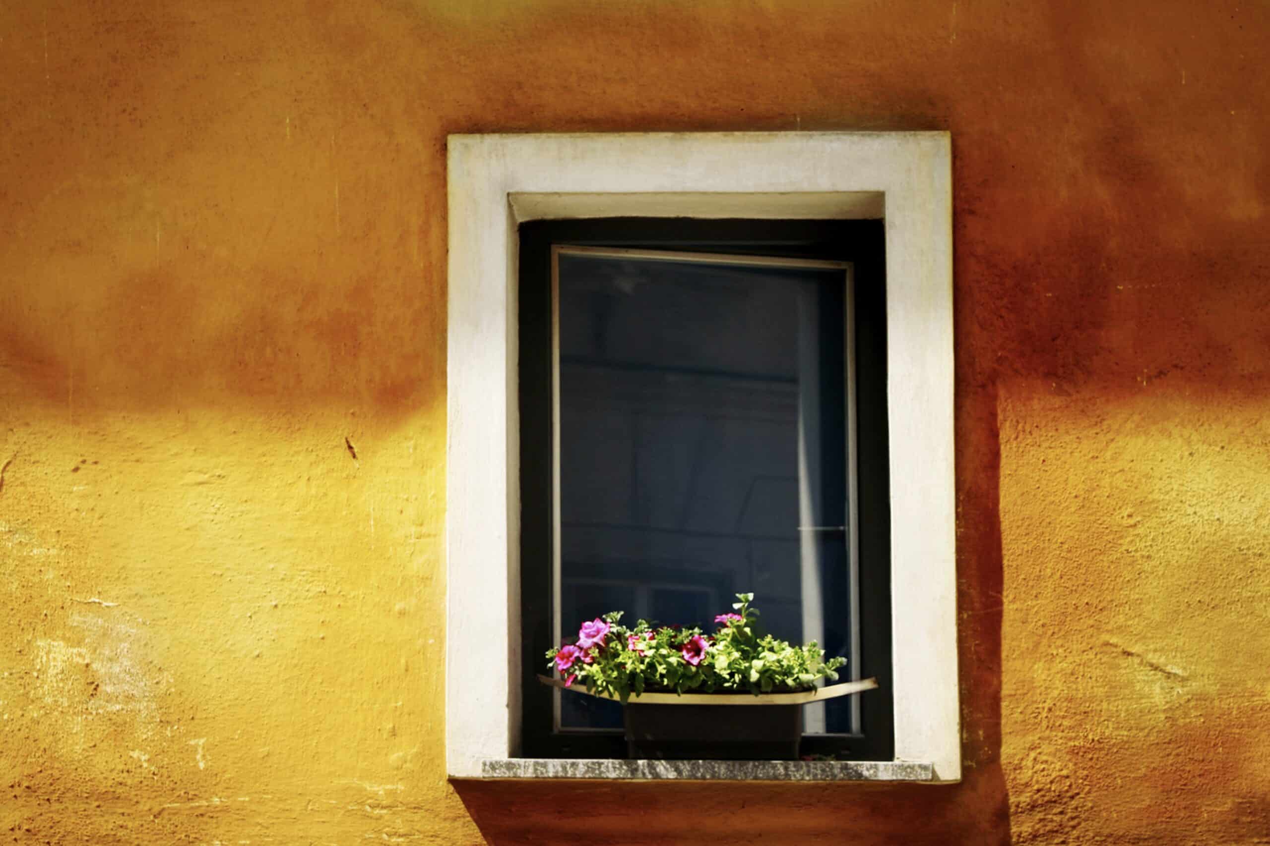 C1 ESL Video Lesson Plan: Simplified Living